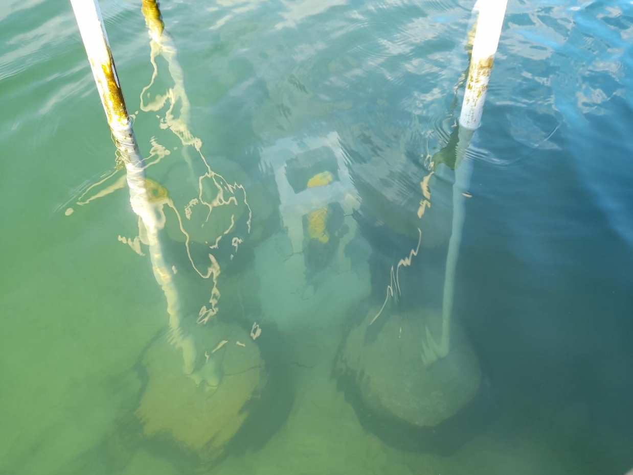 Port Vila water quality in the spotlight - Pacific EcoAdapt